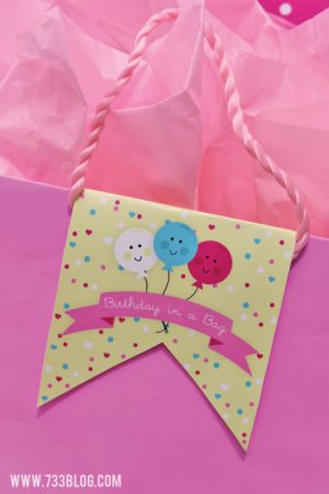Birthday in a Bag Gift Idea - Inspiration Made Simple